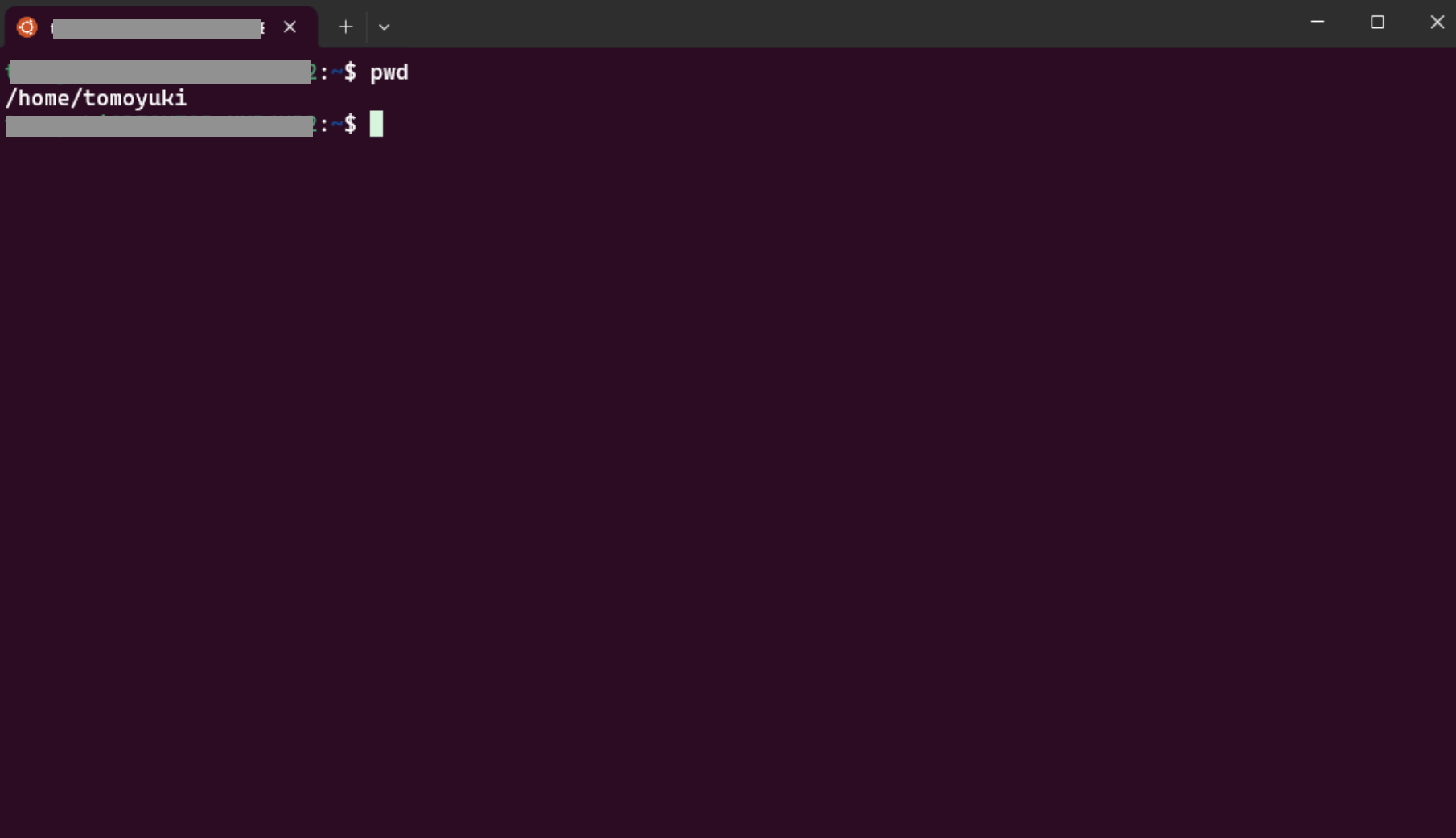 Windows11（WSL2）でGo言語のローカル開発環境を構築する方法 | Golang-Tech